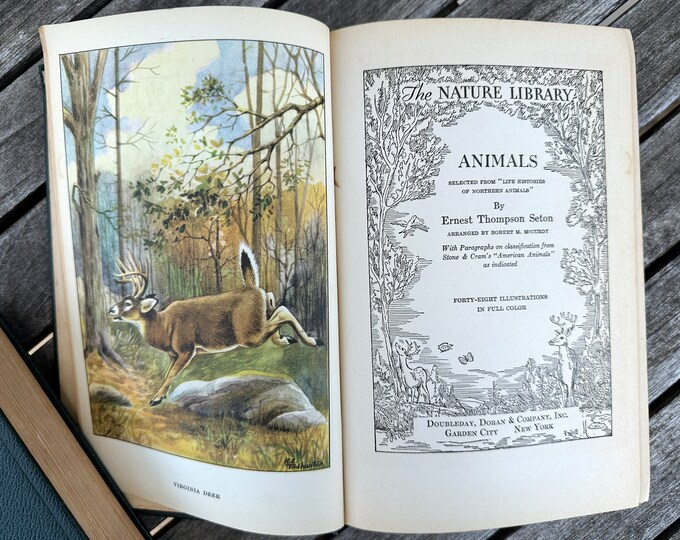 Vintage 1926 the Nature Library ANIMALS Book/ Color Illustrations ...