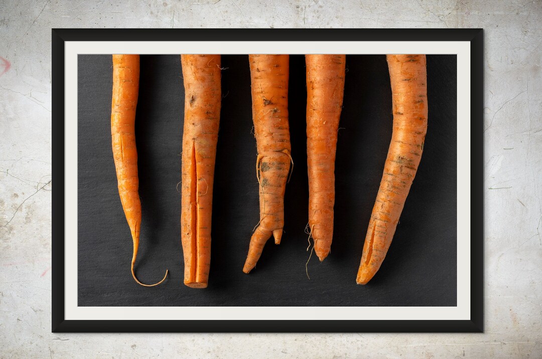 Five Carrots. Five Distinct Orange Carrots With Soil on a Dark Gray ...