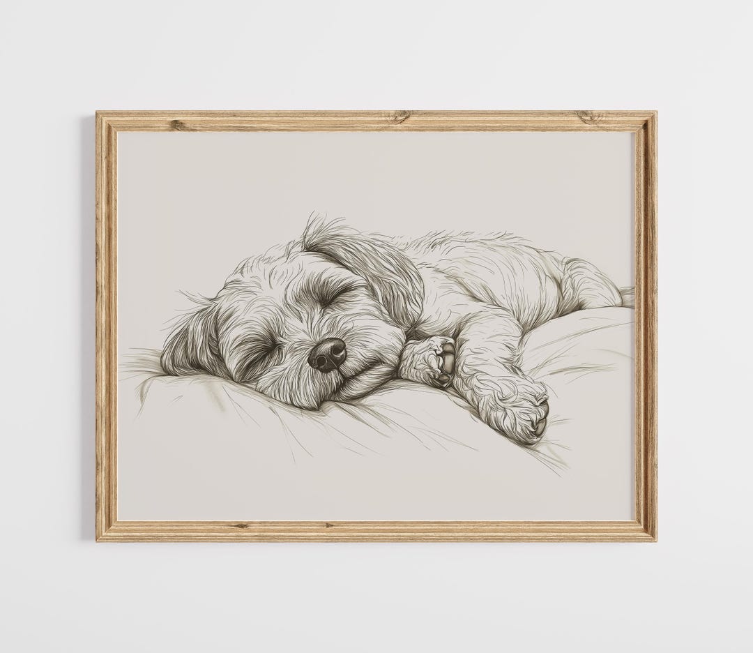 Cavapoo Sketch Print, Vintage Dog Wall Art, Cavapoo Sleeping Drawing ...
