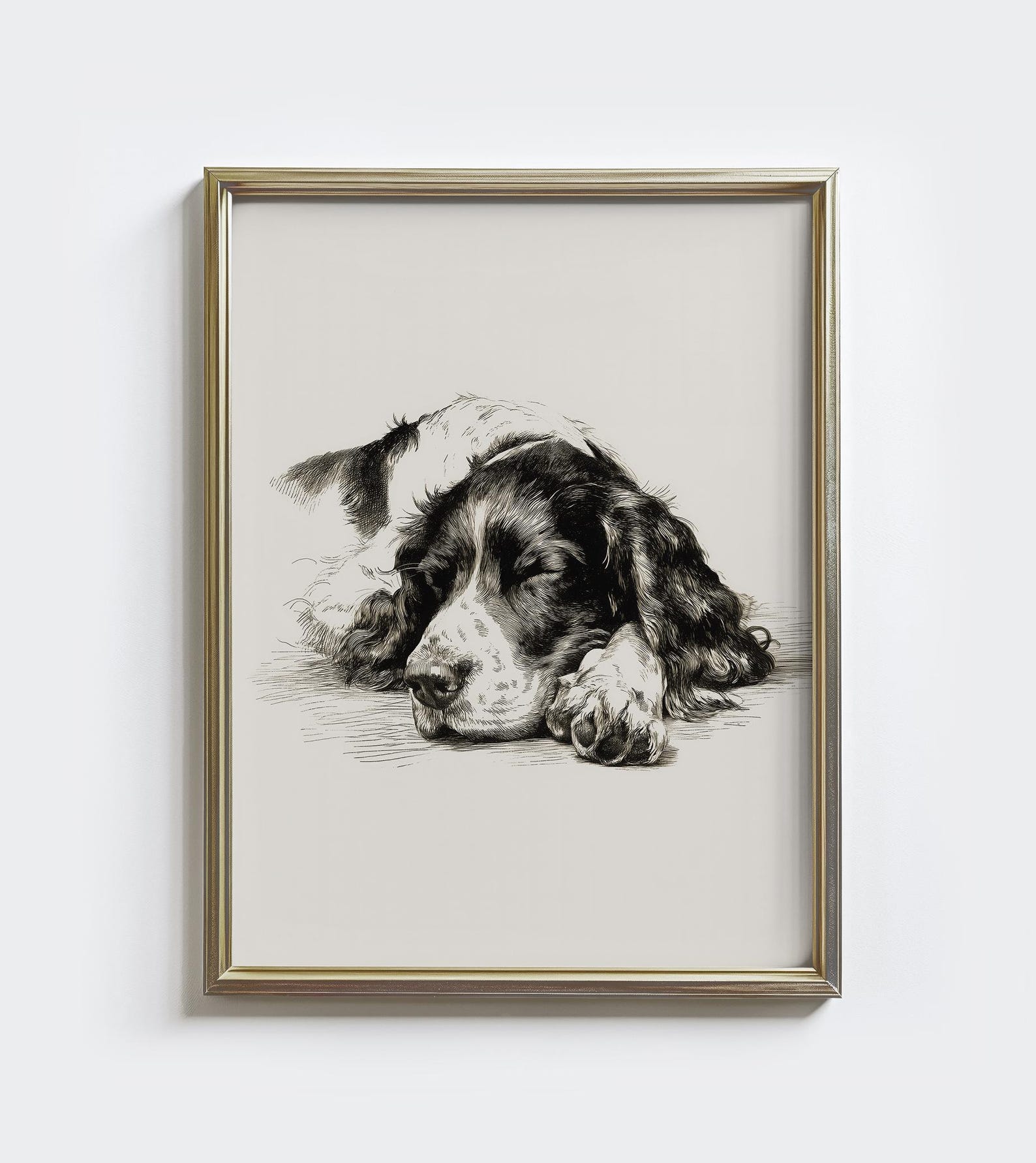 Vintage Springer Spaniel Sketch Art Print: Sleeping Dog Drawing ...