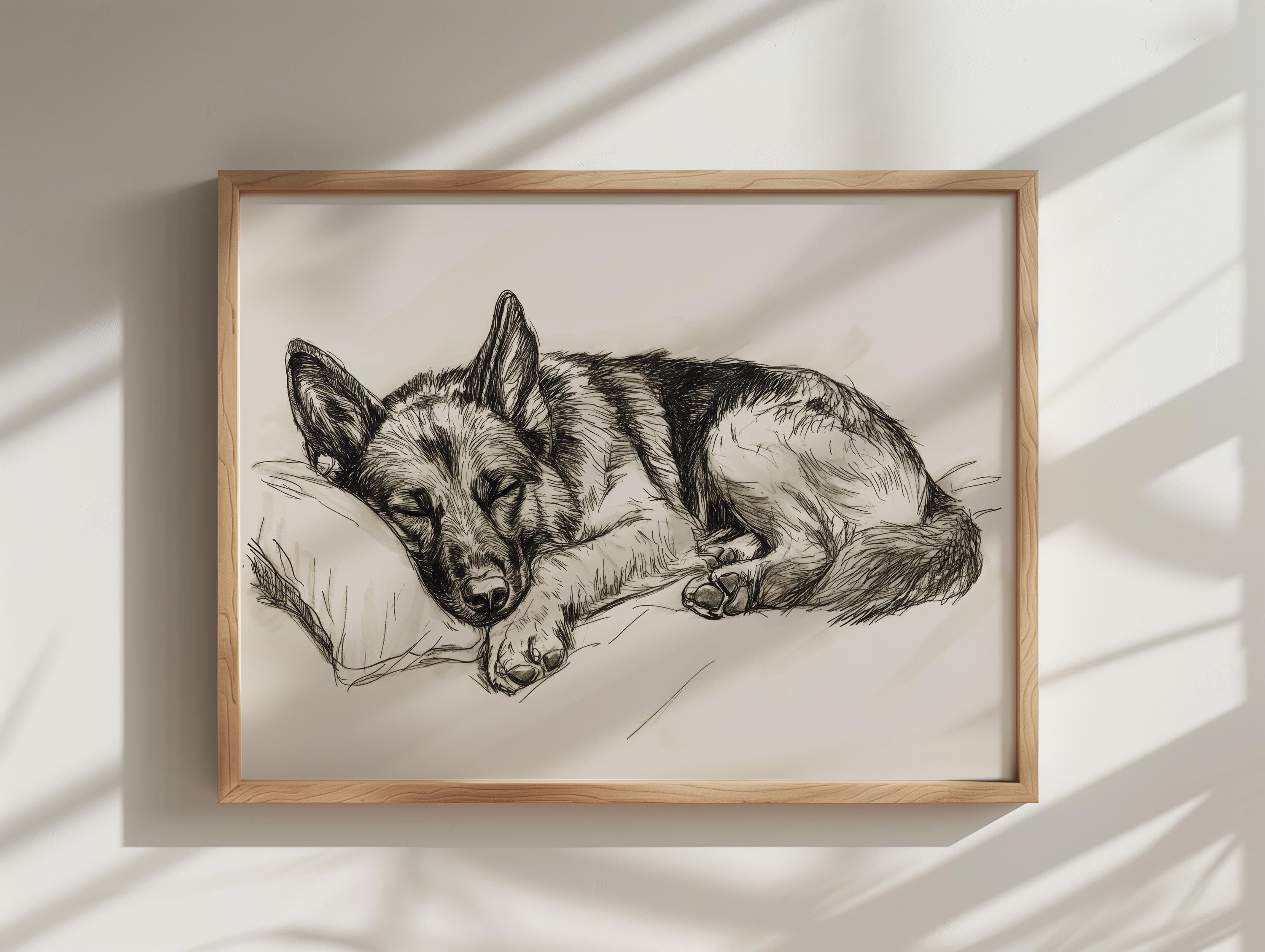 German Shepherd Sketch Print: Vintage Sleeping Dog Portrait (digital ...