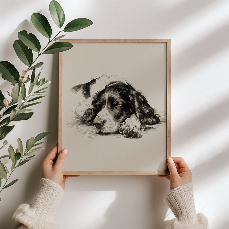 Vintage Springer Spaniel Sketch Art Print: Sleeping Dog Drawing ...