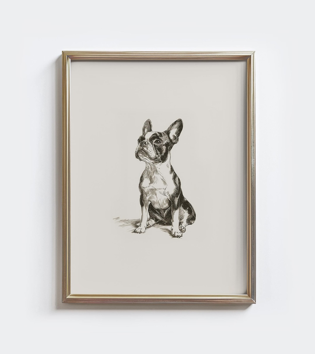 Boston Terrier Vintage Sketch Print: Dog Drawing Wall Art - Farmhouse ...