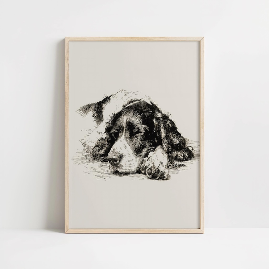 Vintage Springer Spaniel Sketch Art Print: Sleeping Dog Drawing ...