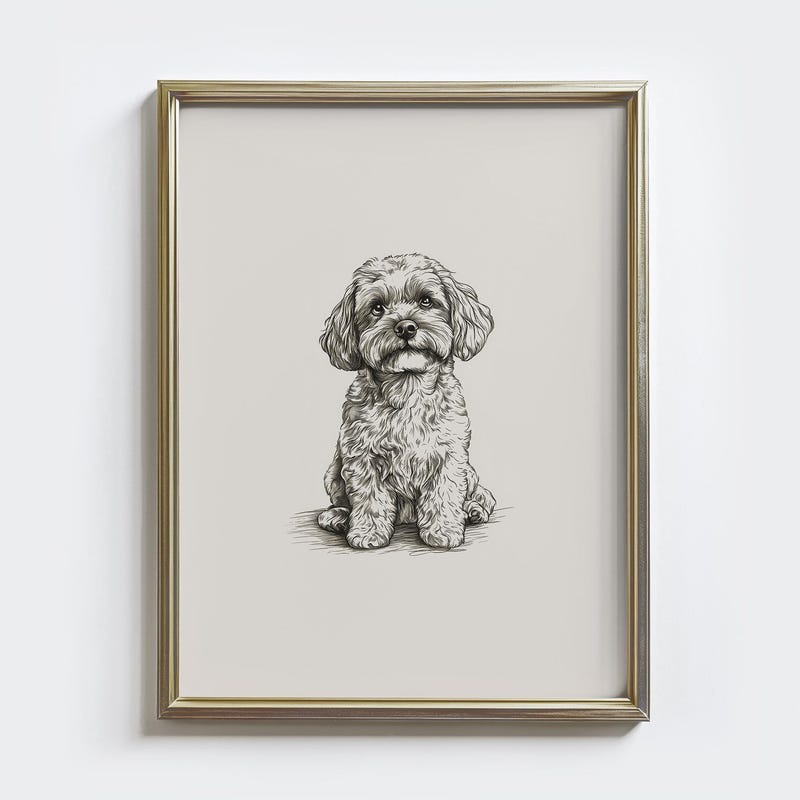 Cavapoo - Etsy UK