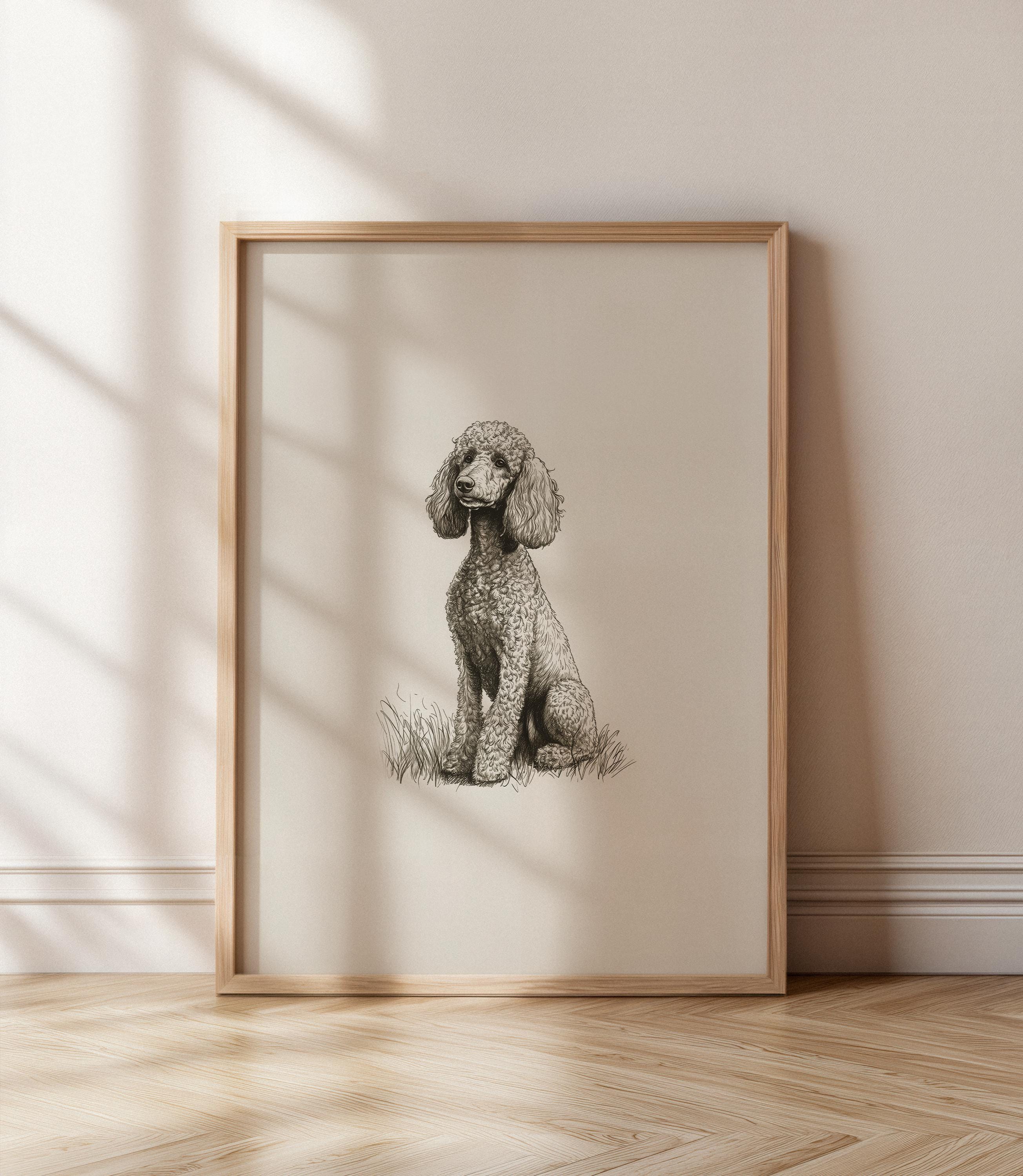 Vintage Poodle Sketch Print: Dog Drawing Wall Art - Farmhouse Wall ...
