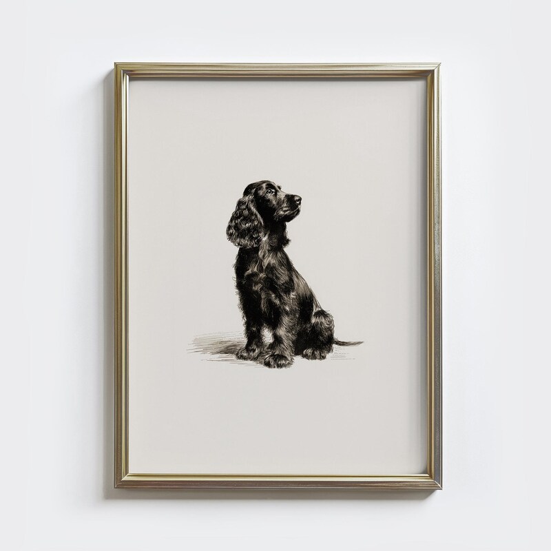 Spaniel Prints Vintage - Etsy UK
