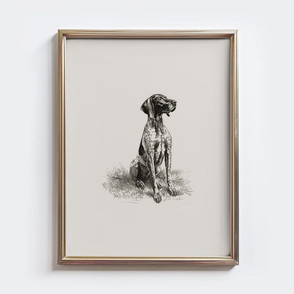 Vintage Gsp Sketch Art - Etsy