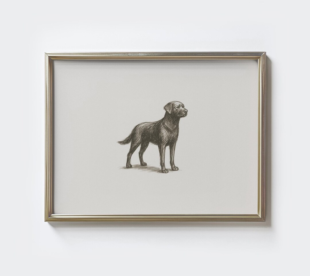 Labrador Sketch Print: Minimalist Dog Portrait, Farmhouse Style ...