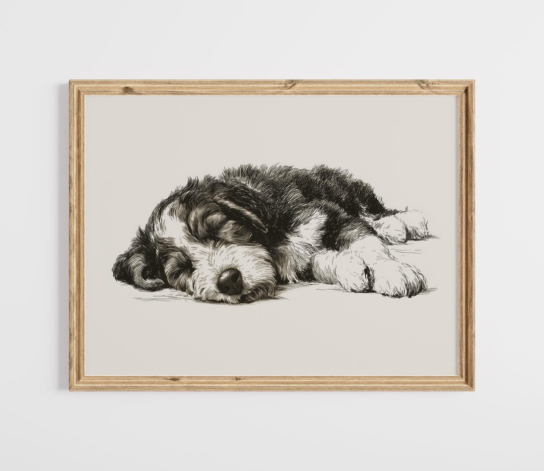 Bernedoodle Sketch Print, Vintage Dog Wall Art, Sleeping Bernedoodle ...