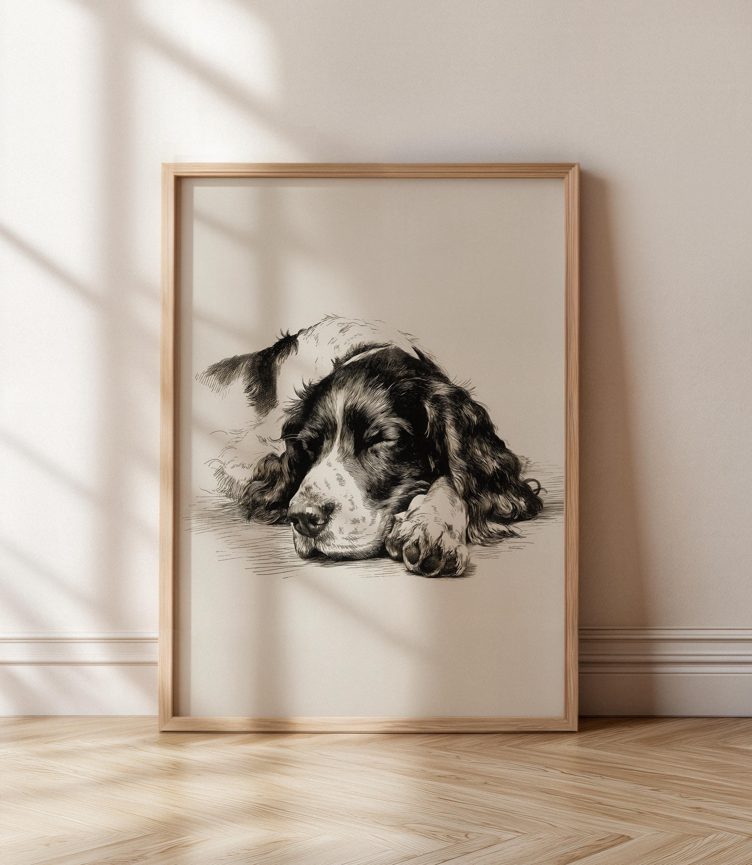 Vintage Springer Spaniel Sketch Art Print: Sleeping Dog Drawing ...