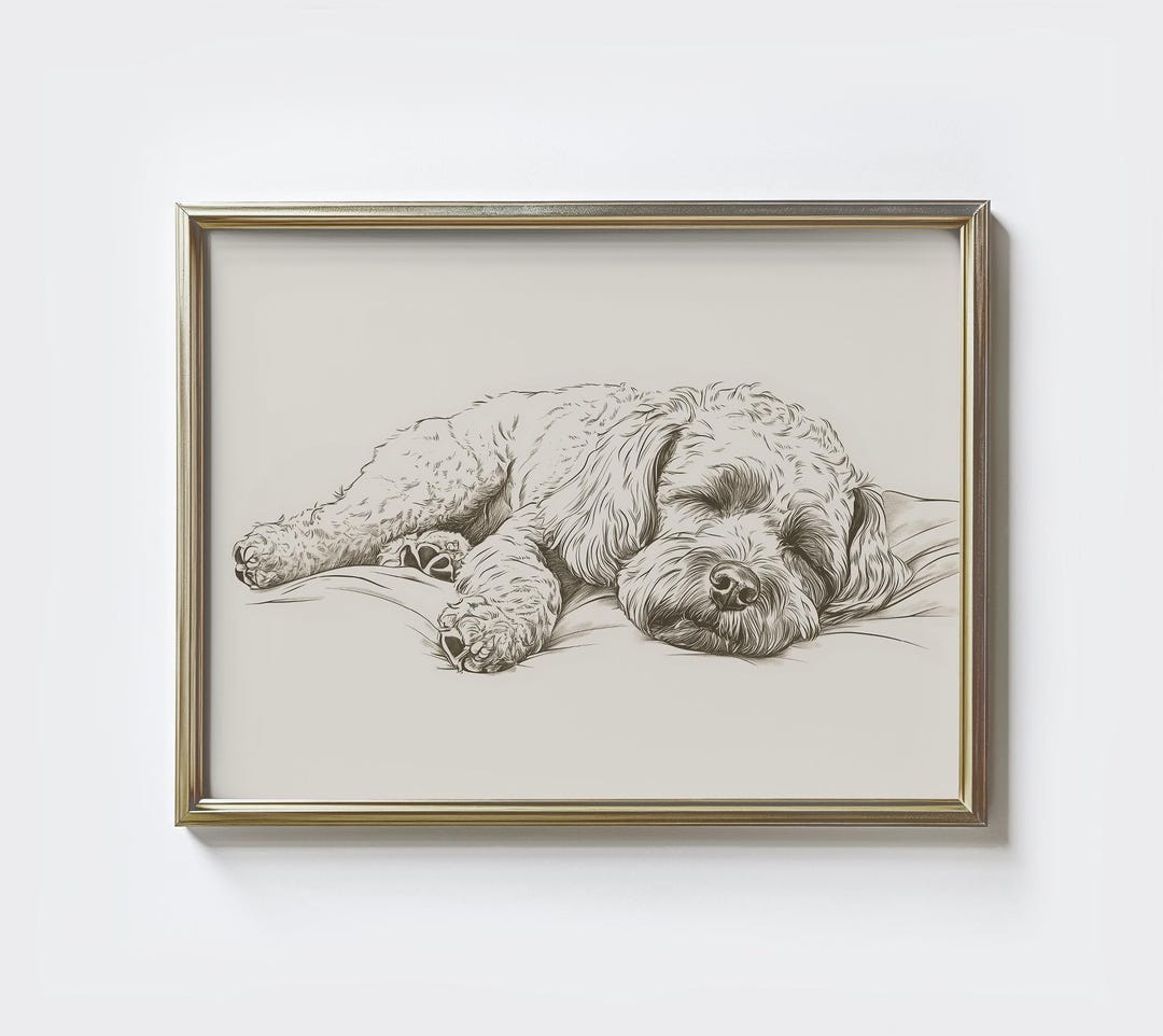 Cockapoo Sketch Print: Vintage Style Dog Art (digital Download) - Etsy