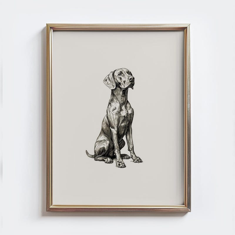 Vizsla Sketches - Etsy