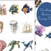 Ocean Junk Journal Ephemera - Vintage Sea Life Clip Art - Marine ...