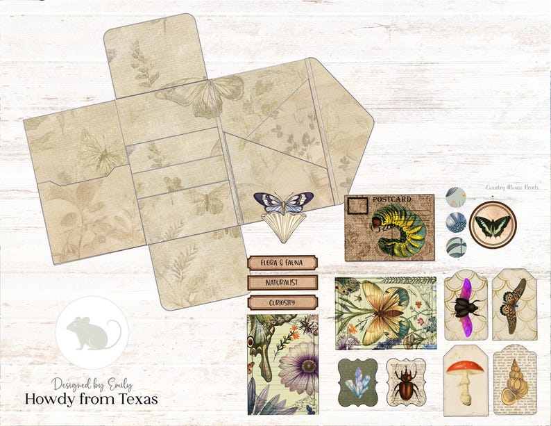 Vintage Naturalist Mini Folio Kit Botanical Natural Study Junk Journal ...