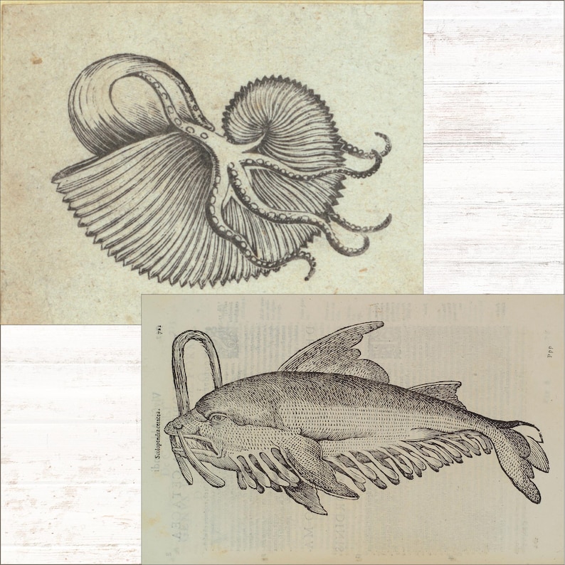 Vintage Weird Real Vintage Ephemera Oddities Strange Junk Journal ...