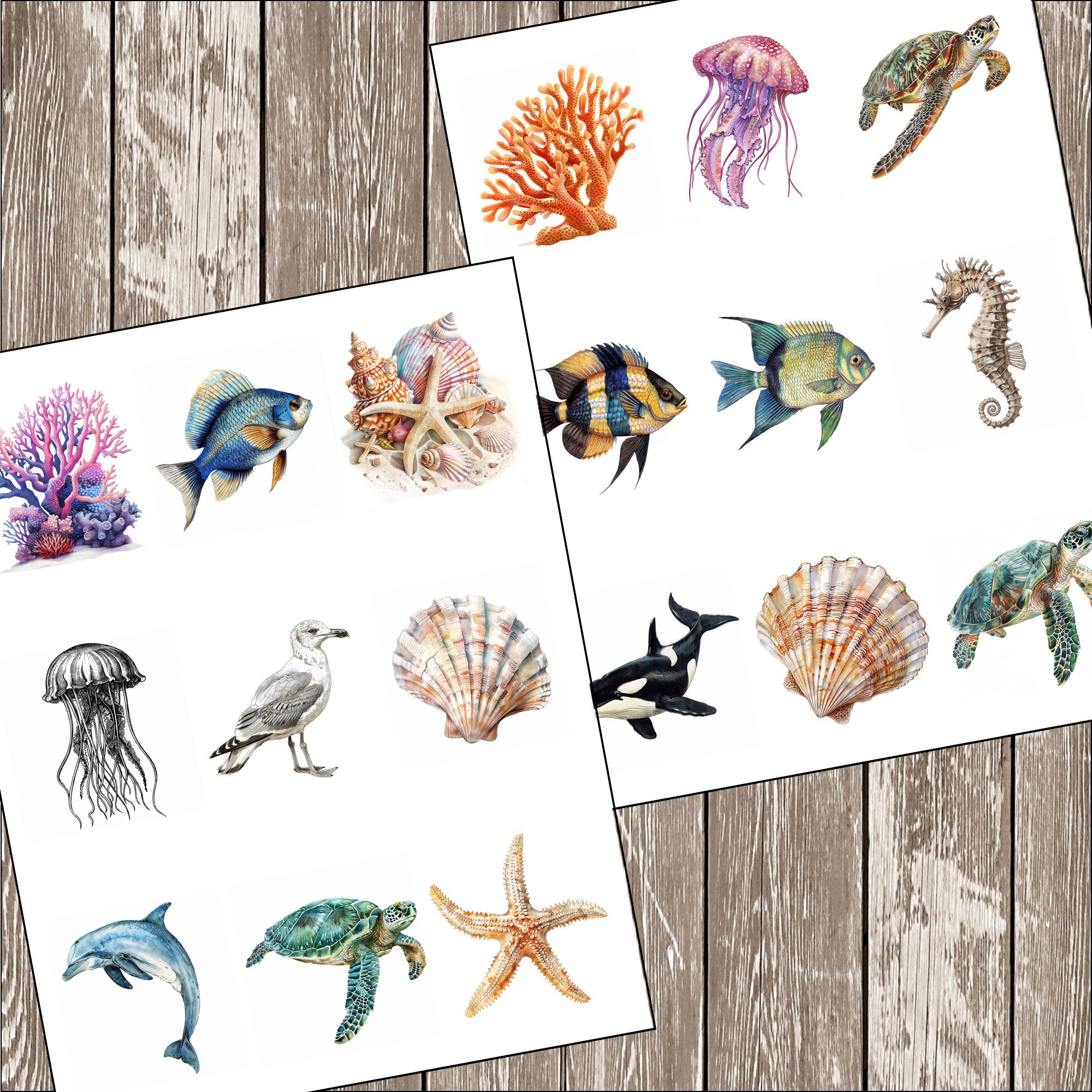 Ocean Junk Journal Ephemera - Vintage Sea Life Clip Art - Marine ...