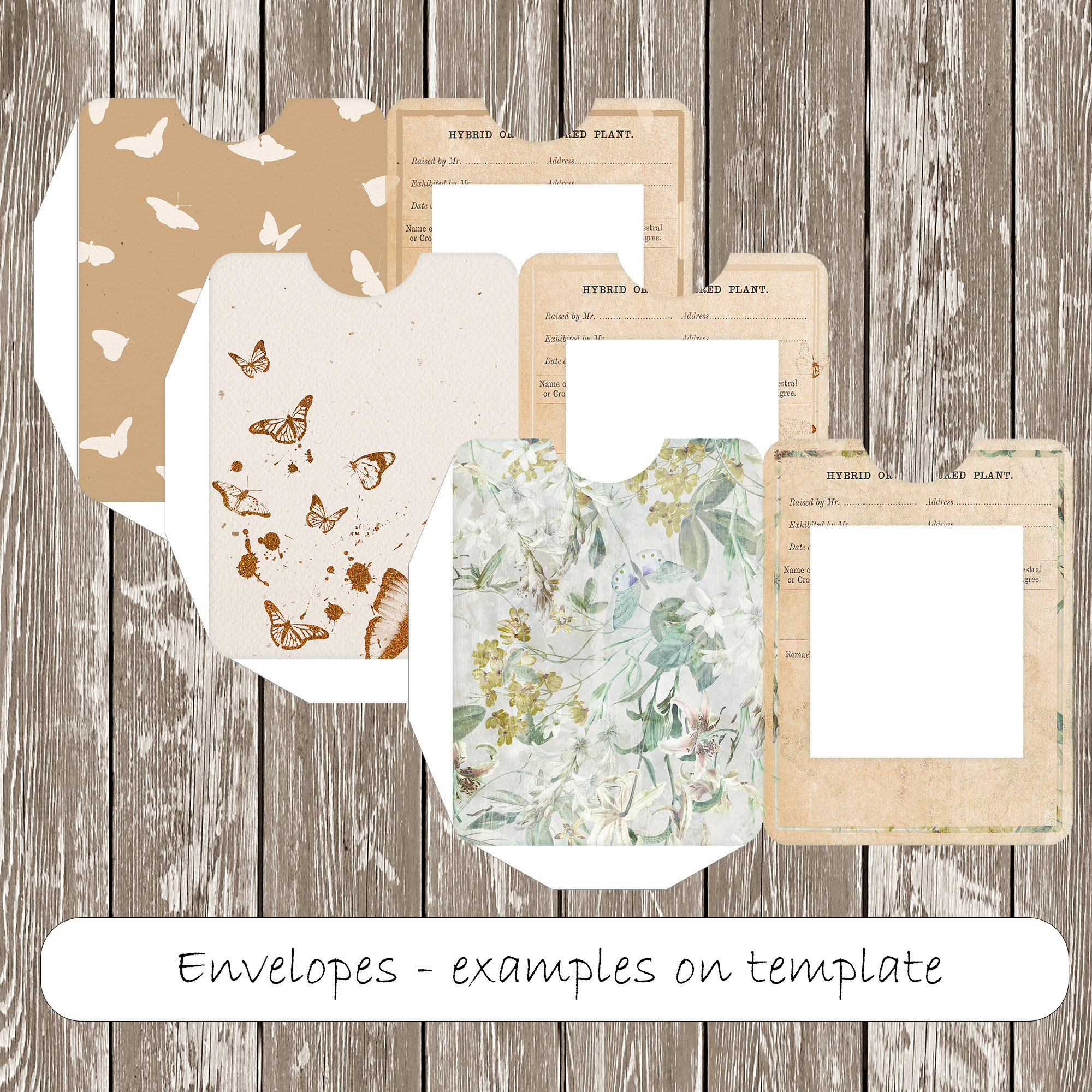 Specimen Slide Template Specimen Envelope Template Junk Journal Science ...