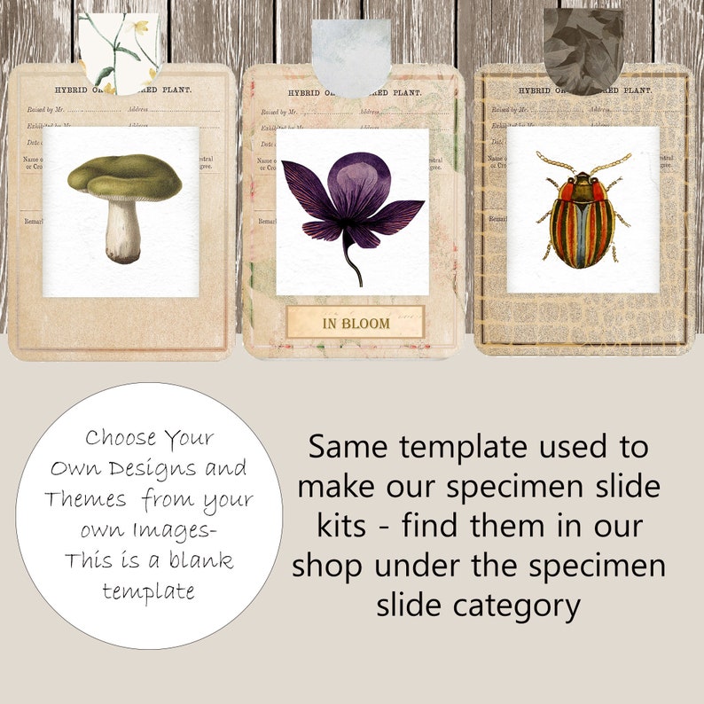 Specimen Slide Template Specimen Envelope Template Junk Journal Science ...