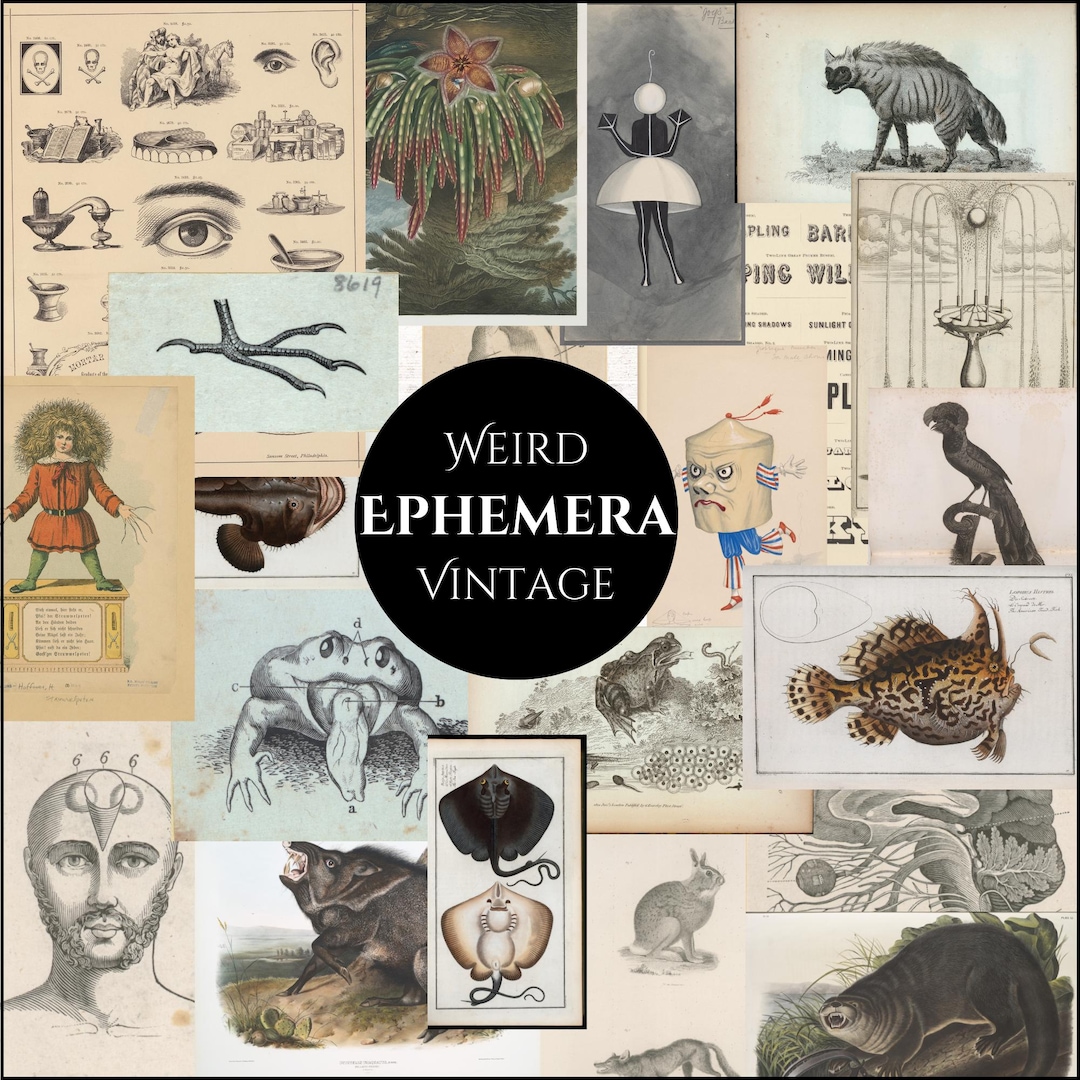 Vintage Weird Real Vintage Ephemera Oddities Strange Junk Journal ...