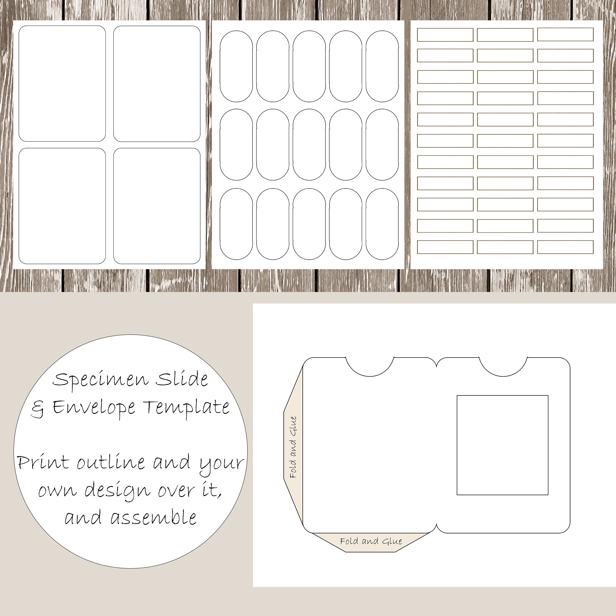 Specimen Slide Template Specimen Envelope Template Junk Journal Science ...