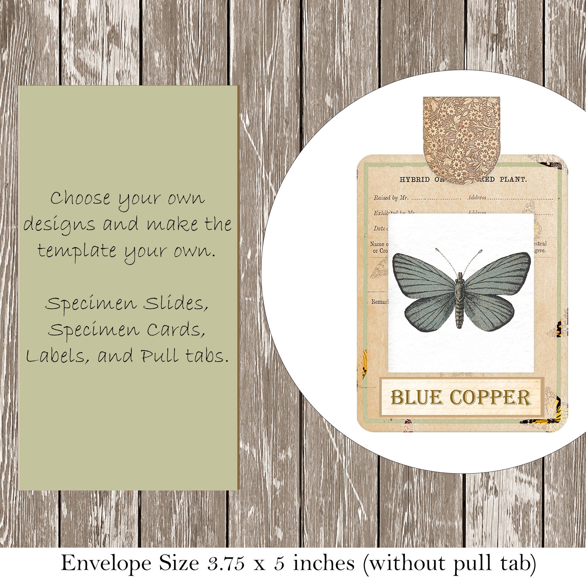 Specimen Slide Template Specimen Envelope Template Junk Journal Science ...