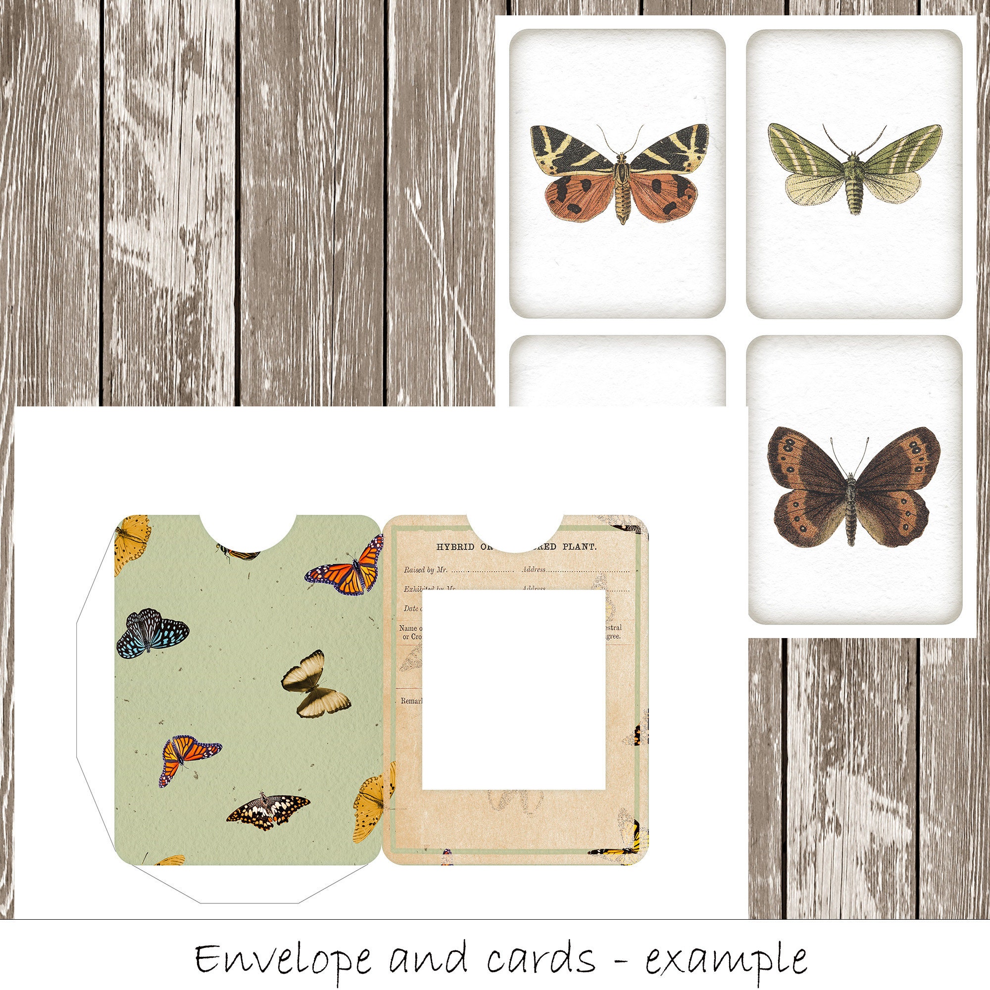 Specimen Slide Template Specimen Envelope Template Junk Journal Science ...