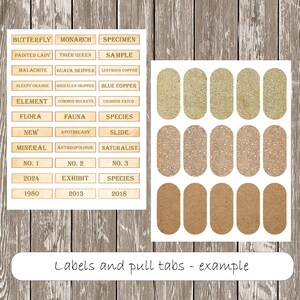 Specimen Slide Template Specimen Envelope Template Junk Journal Science ...