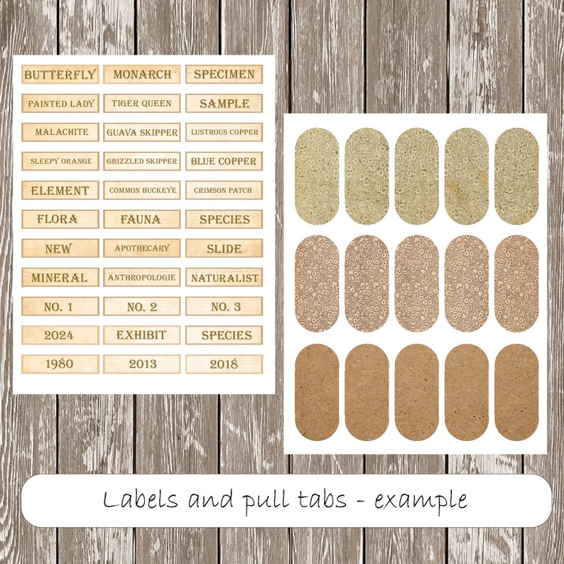 Specimen Slide Template Specimen Envelope Template Junk Journal Science ...