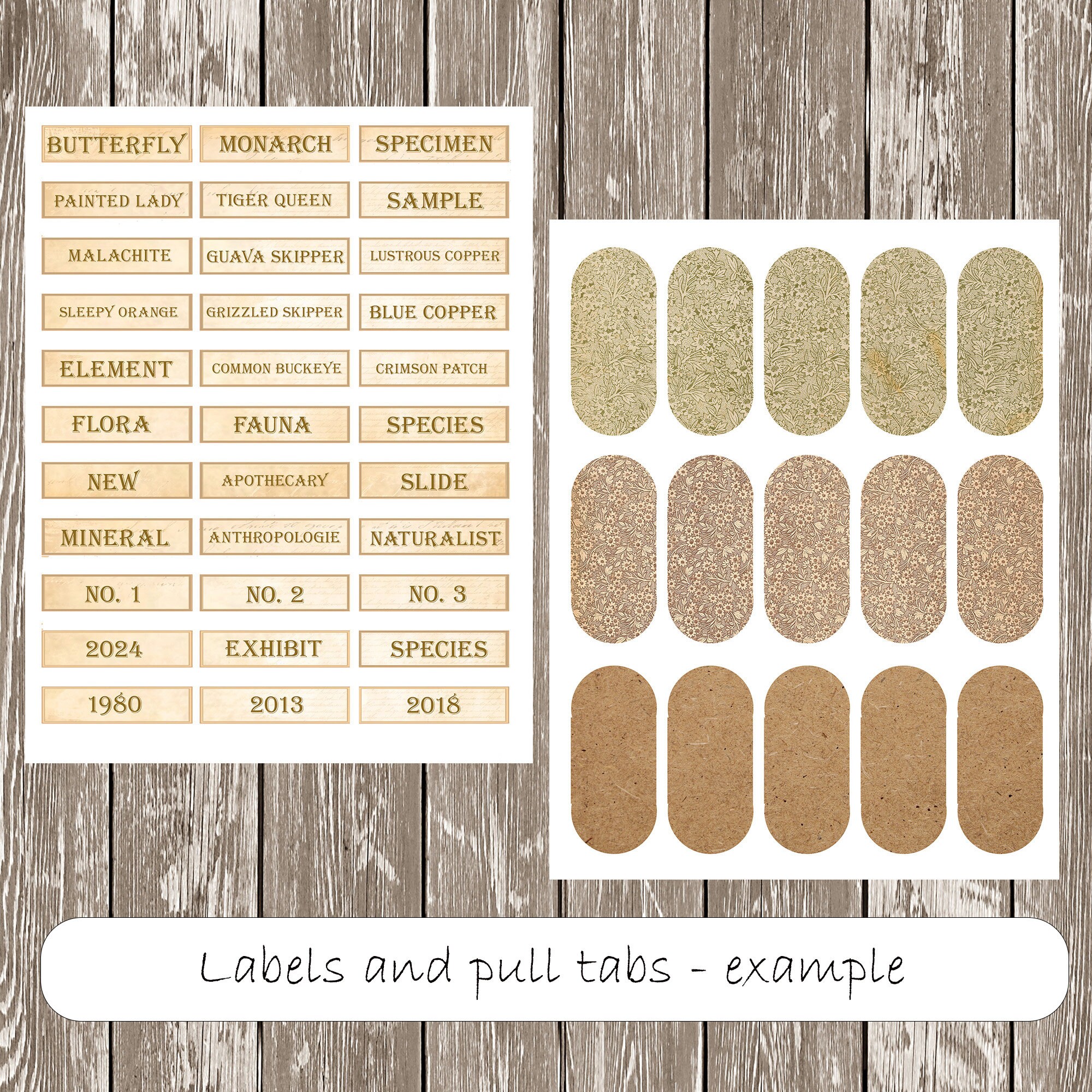 Specimen Slide Template Specimen Envelope Template Junk Journal Science ...