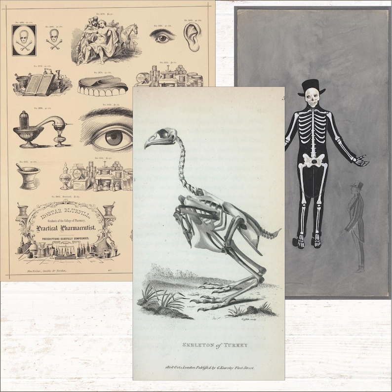 Vintage Weird Real Vintage Ephemera Oddities Strange Junk Journal ...