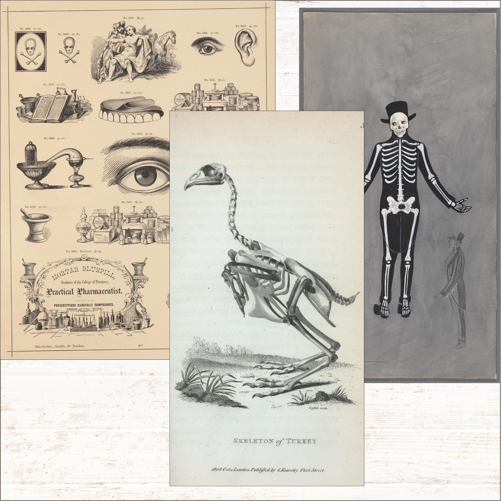 Vintage Weird Real Vintage Ephemera Oddities Strange Junk Journal ...