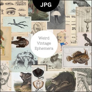 Vintage Weird Real Vintage Ephemera Oddities Strange Junk Journal ...