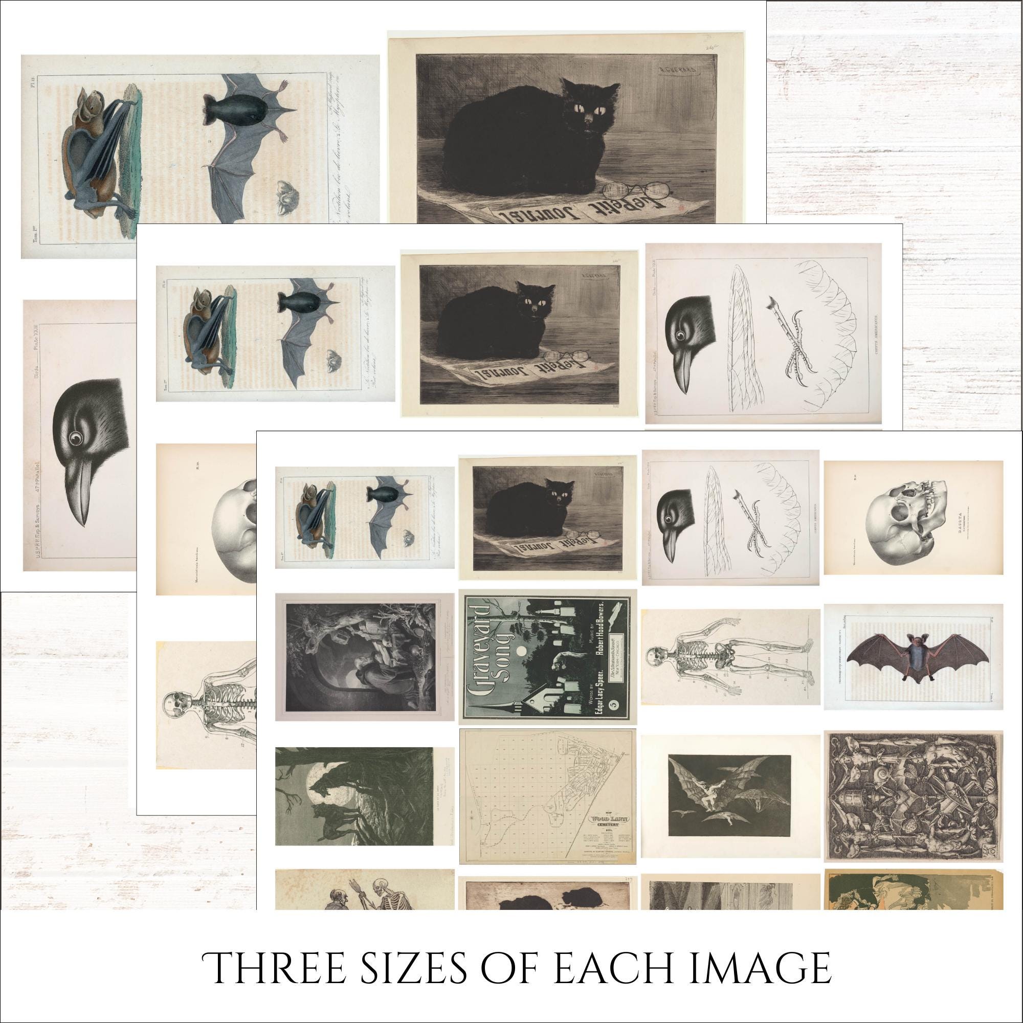 Vintage Halloween Ephemera Gothic Spooky Junk Journal Embellishments ...