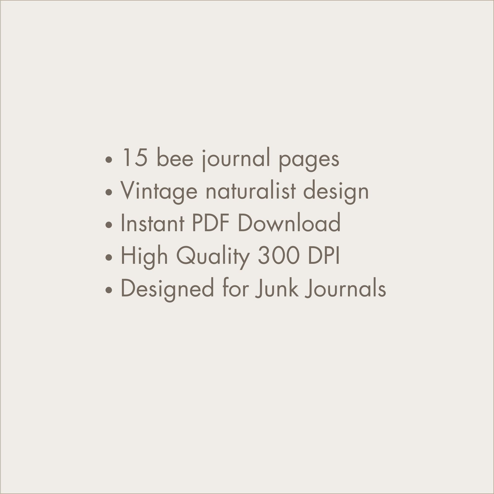 Junk Journal Bee Lined Paper Vintage Bee Signature Pages Antique Lined ...