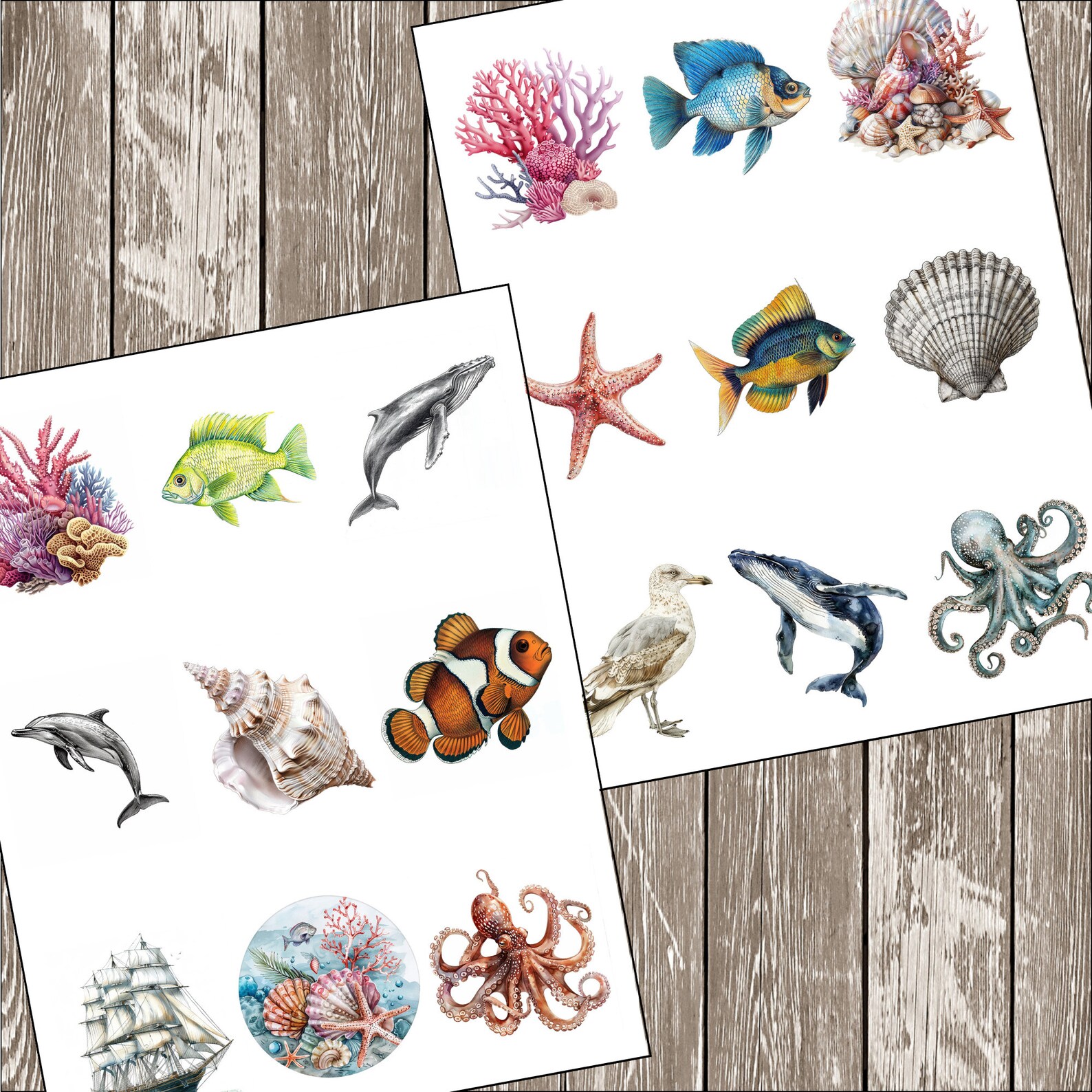 Ocean Junk Journal Ephemera Vintage Sea Life Clip Art Marine Printable ...