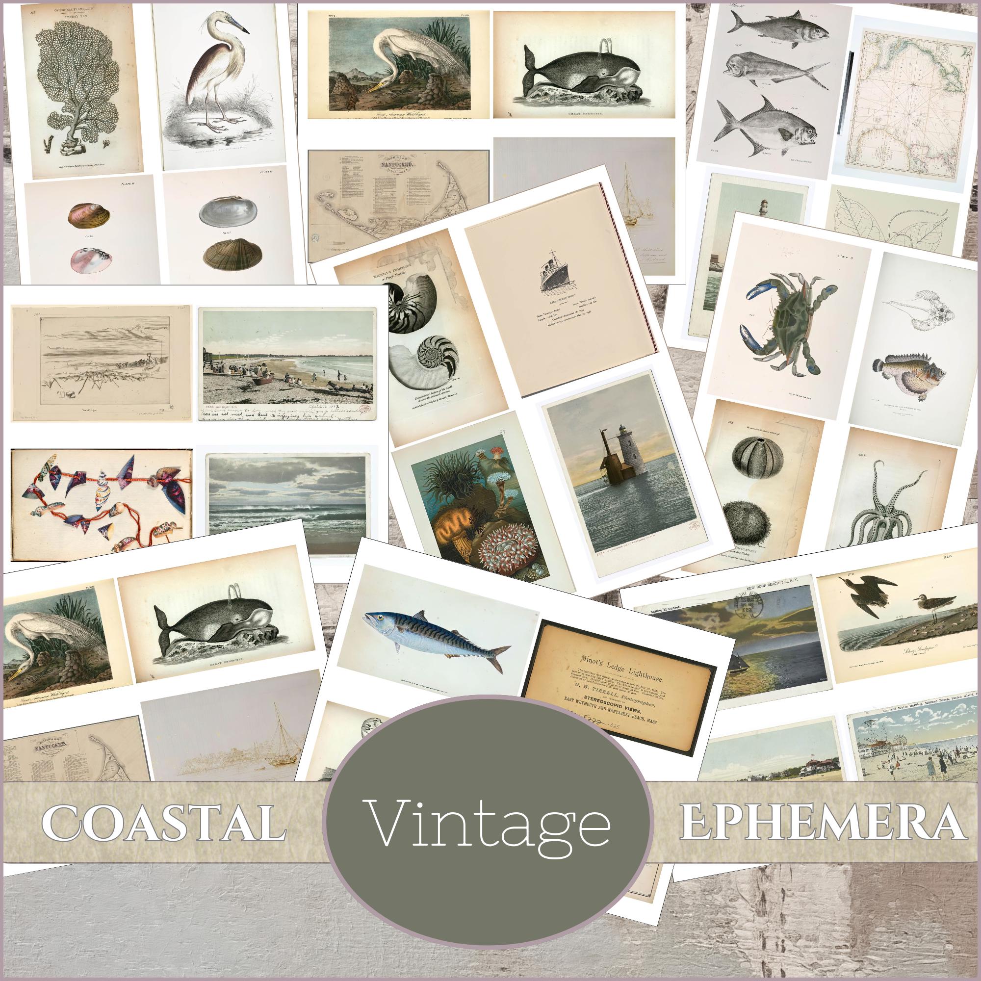 Ocean Vintage Ephemera Coastal Beach Junk Journal Embellishments ...