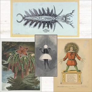 Vintage Weird Real Vintage Ephemera Oddities Strange Junk Journal ...