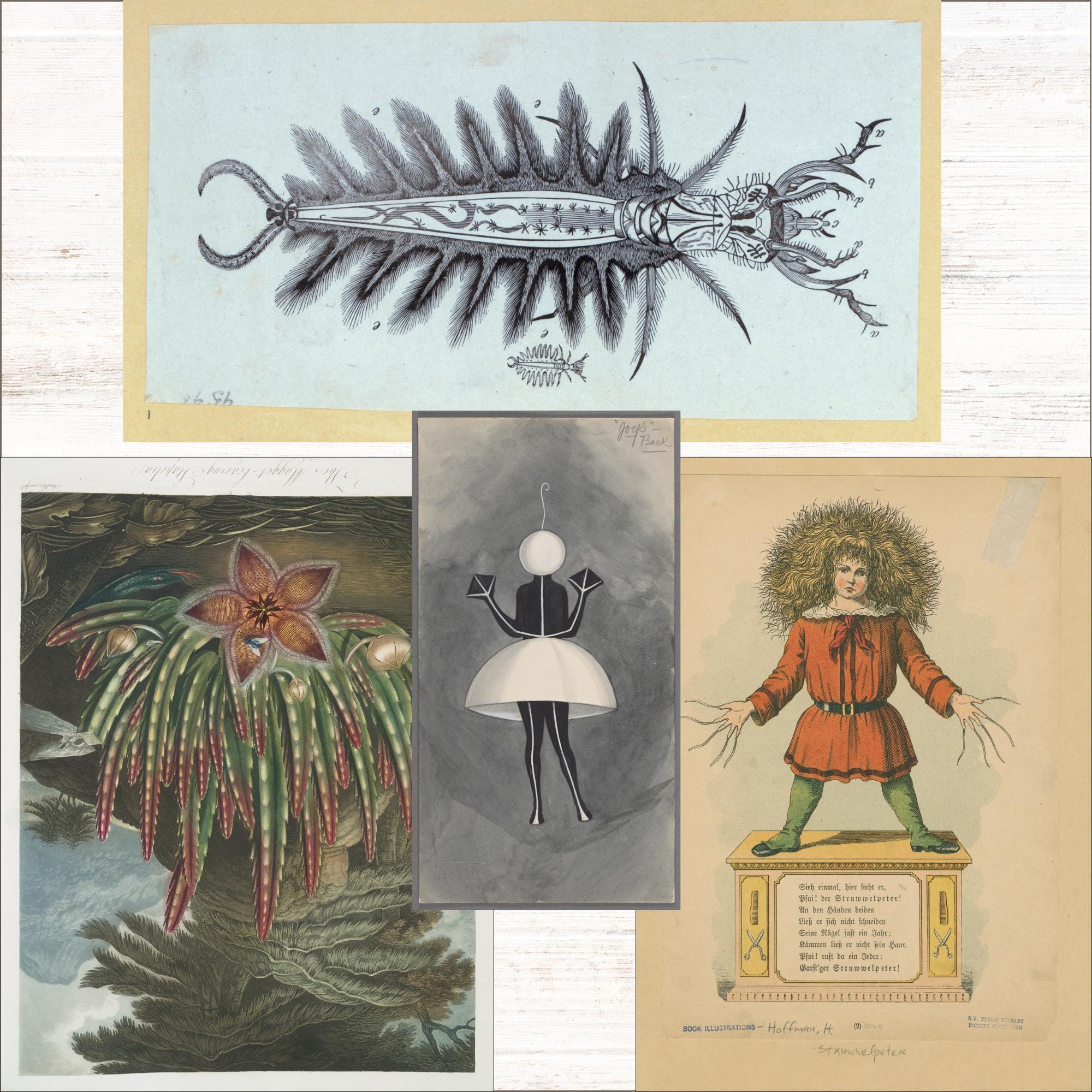 Vintage Weird Real Vintage Ephemera Oddities Strange Junk Journal ...