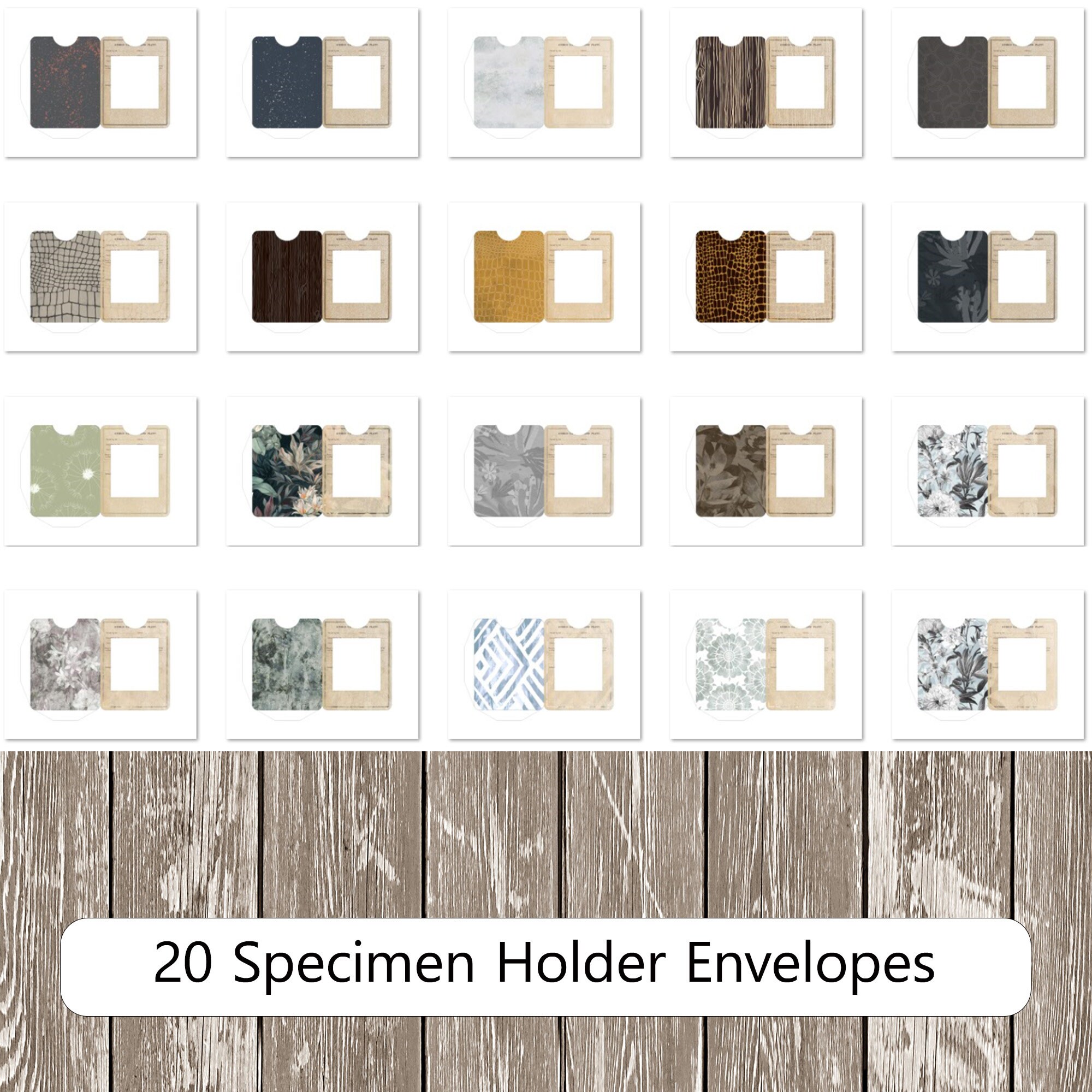 Insect Specimen Card Beetle Junk Journal Ephemera Tags Pockets ...