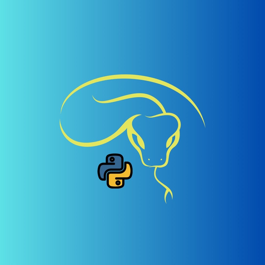 Python Cheat Sheet Etsy