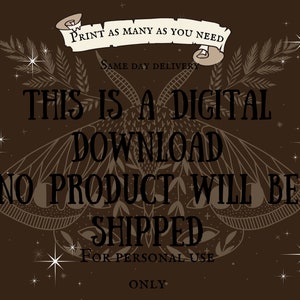 Pantser Planner: Novel Outline Template, Character Profile (PDF) - Etsy