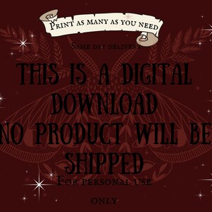 Side Character Outline, Character Profile Template, FREE Notion ...