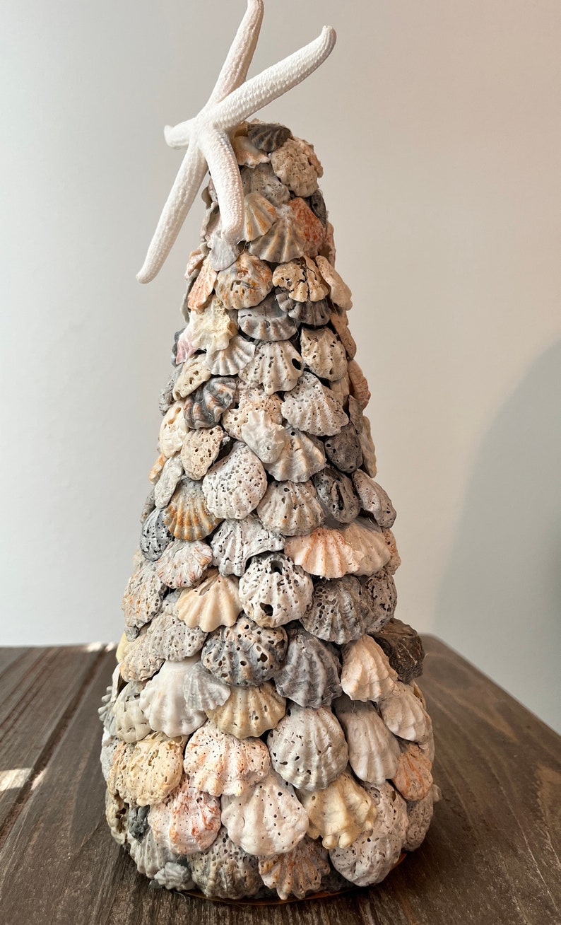 Seashell Tree - Kitten Paw Shells - Etsy