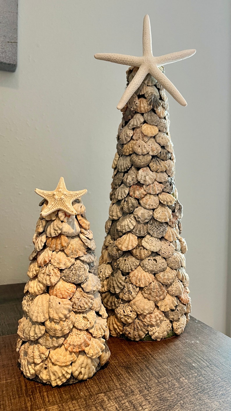 Seashell Tree - Kitten Paw Shells - Etsy