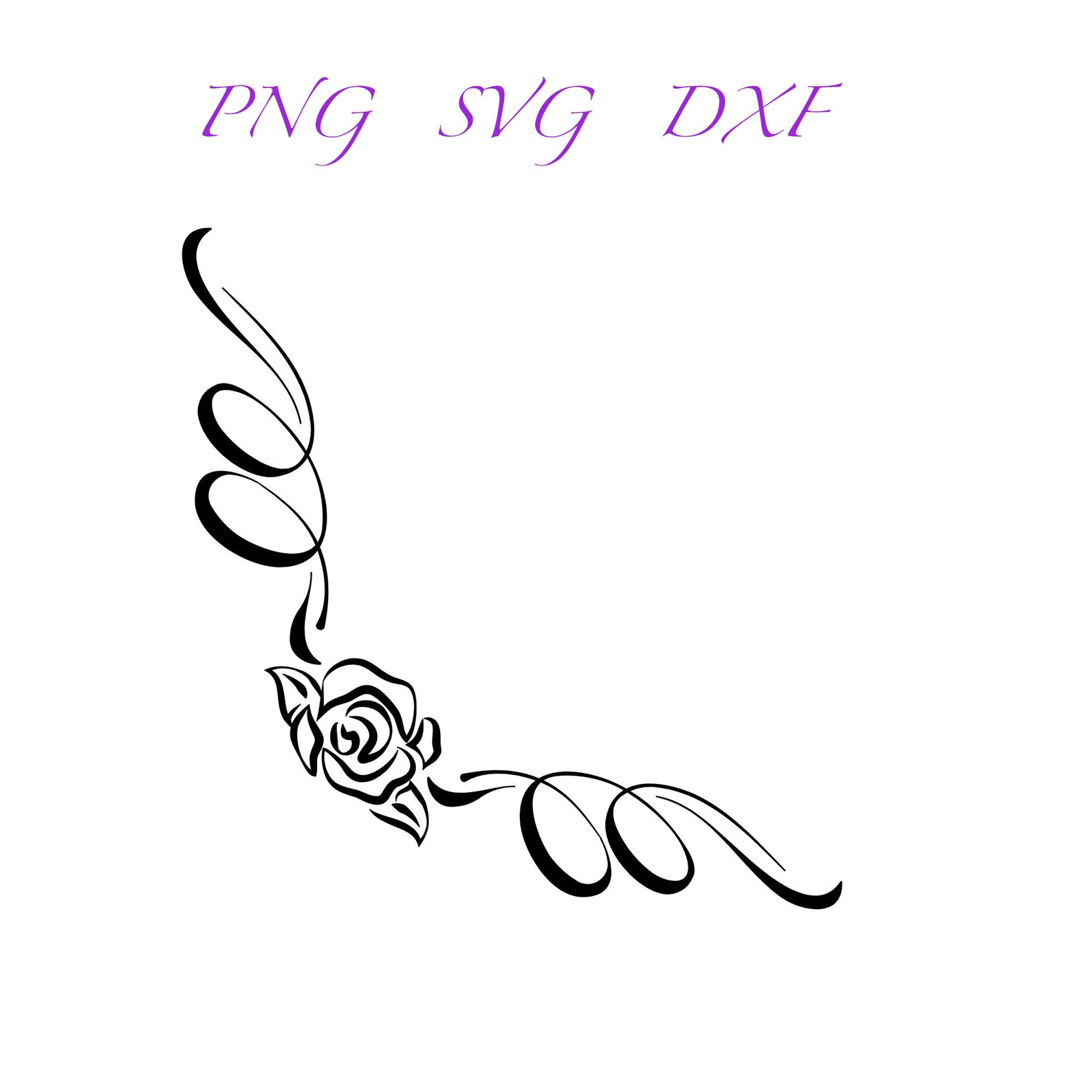 Rose Svg Border Designs Corner Svg Png Dxf Swirl Svg Wedding Svg Floral ...