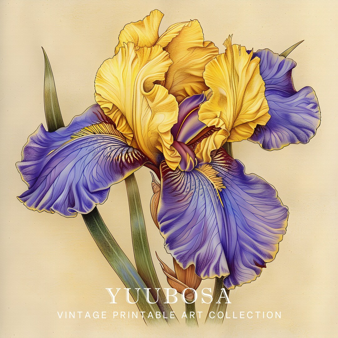 Iris of Gold Png Sublimation Digital Design Download Wreath Sign Wind ...