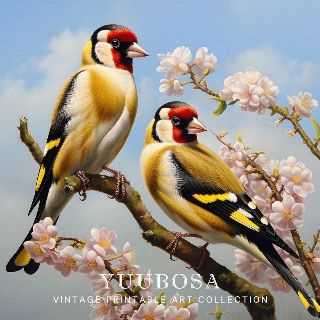 Goldfinch Png Sublimation Digital Design Download Wreath Sign Wind ...