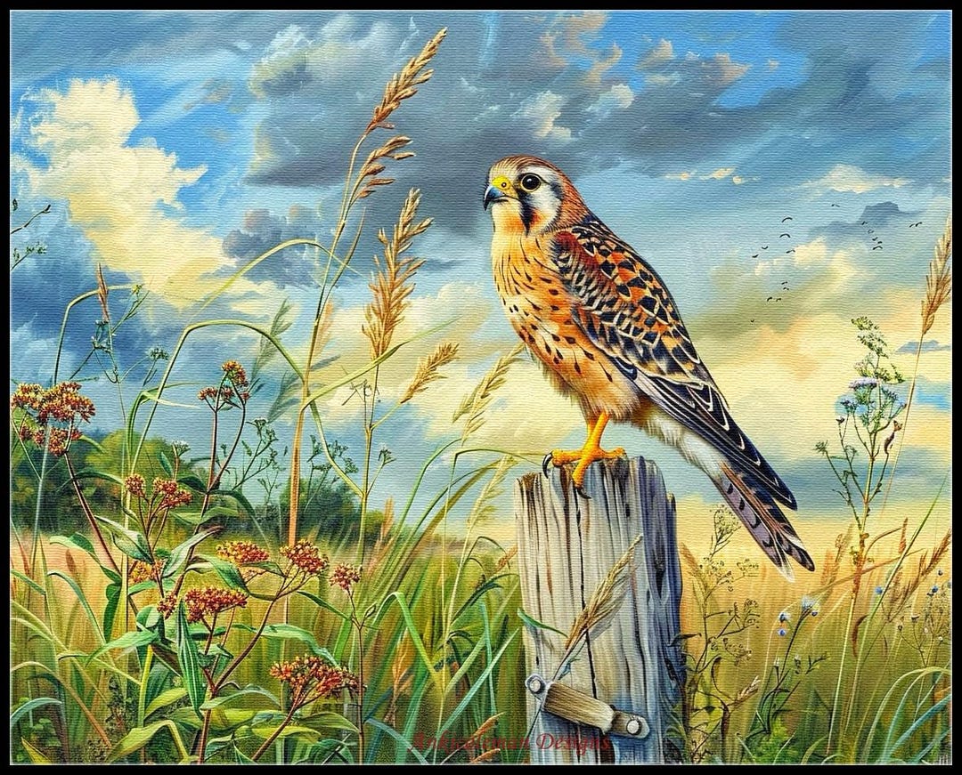 American Kestrel 2 Village Farm View Cross Stitch Patterns Printable ...