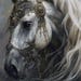 Andalusian Horse 3 - Counted Cross Stitch Patterns - Printable Chart ...